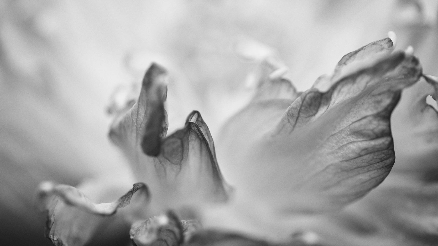 Bahay Kalipay Yoga, Raw Food Detox Retreat Haven Philippines