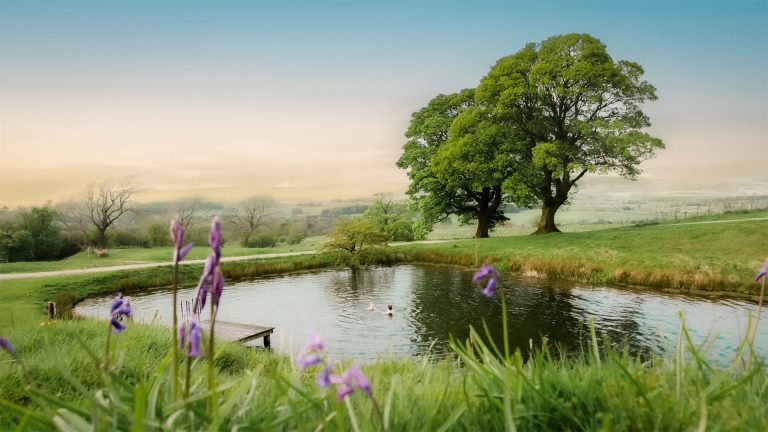 Broughton Sanctuary | Skipton, Yorkshire, England | HealingGuide